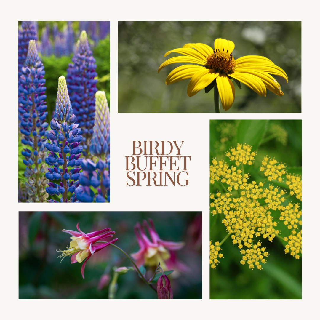 Native Seed Shaker- Birdy Buffet – Cedar Bridge Botanicals